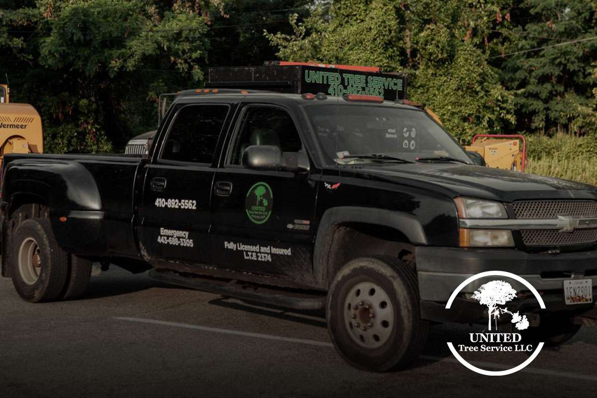 Find Inspiration in Our Finest Work - United Tree Service, LLC