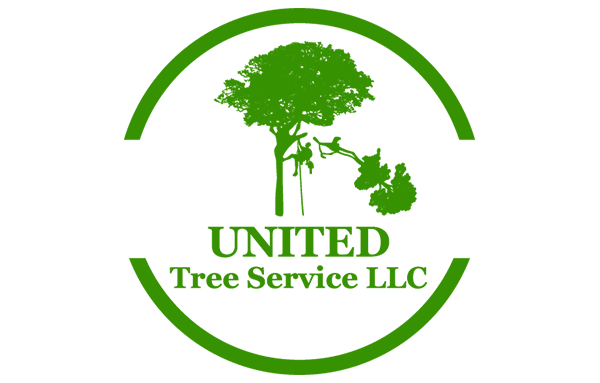 Tree Services in Baltimore, MD - United Tree Service, LLC
