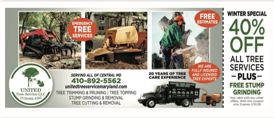 Tree Trimming in Baltimore, MD | United Tree Service, LLC