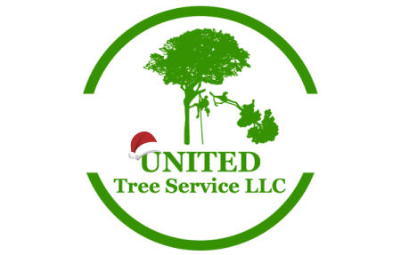 Tree Services in Baltimore, MD - United Tree Service, LLC